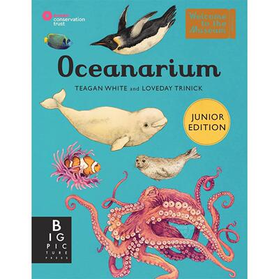 海洋博物馆 少儿自然科普绘本 洛芙迪·特里尼克 Loveday Trinick 英文原版 Oceanarium 精装 7-9岁
