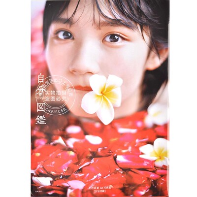 日文AKB48矢作萌夏1st写真集