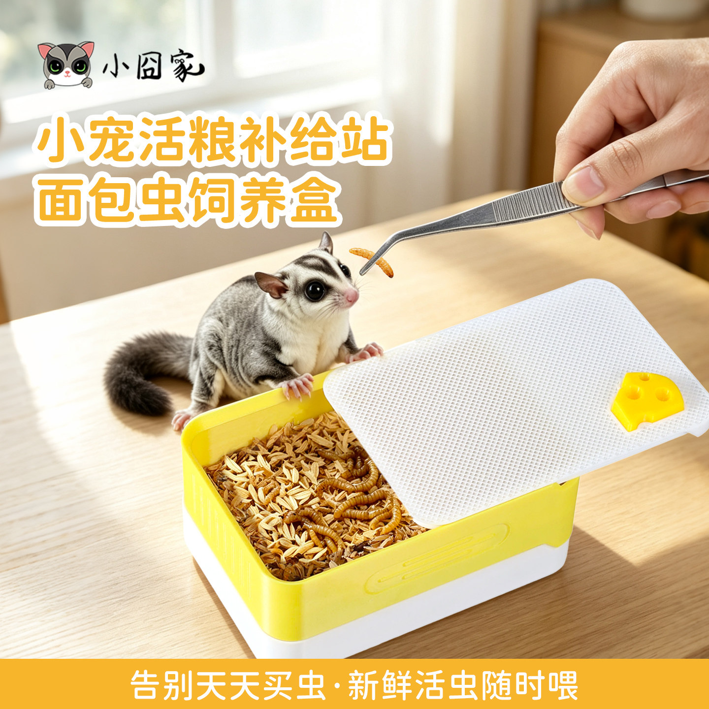 面包虫饲养盒蜜袋鼯仓鼠花枝爬宠活体饲料专用透气防逃滤屎养殖盒