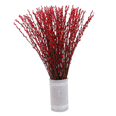 1.8米银柳真花奥易基地直销的