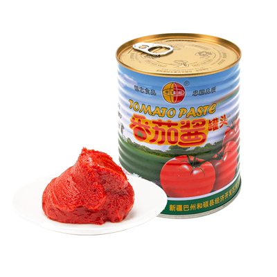新疆半球红番茄酱850gx2罐纯