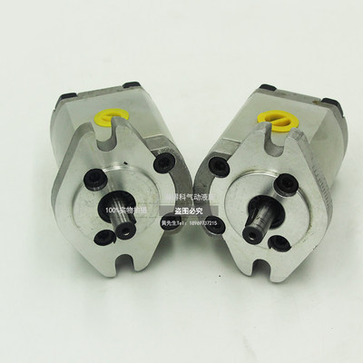 高压齿轮泵P101RG2/7354