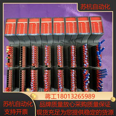 TRIO翠欧P376模块Flexslice out16n 原