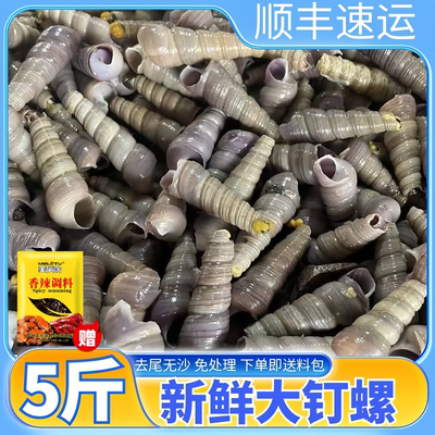 钉螺新鲜鲜活速冻海螺商用顺丰送炒料去尾钉螺免处理烧烤钉螺鲜冻