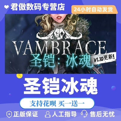 Steam PC正版 游戏 圣铠：冰魂 Vambrace: Cold Soul 君傲数码