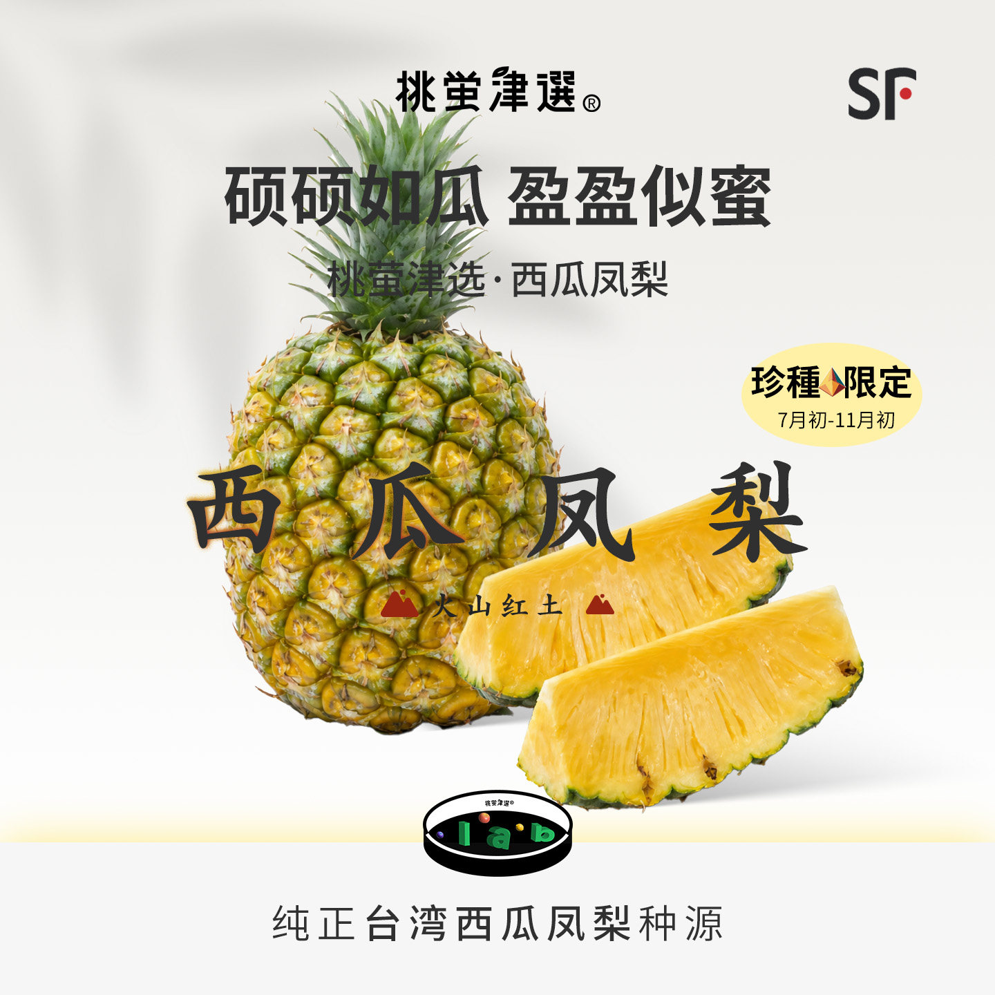 稀!桃萤津选 火山西瓜凤梨 硕果型 台湾西瓜凤梨引种 礼盒装 SF