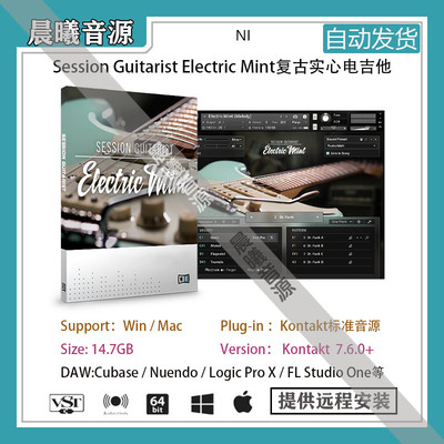 Session Guitarist Electric Mint v1.1.0复古实心电吉他音色库