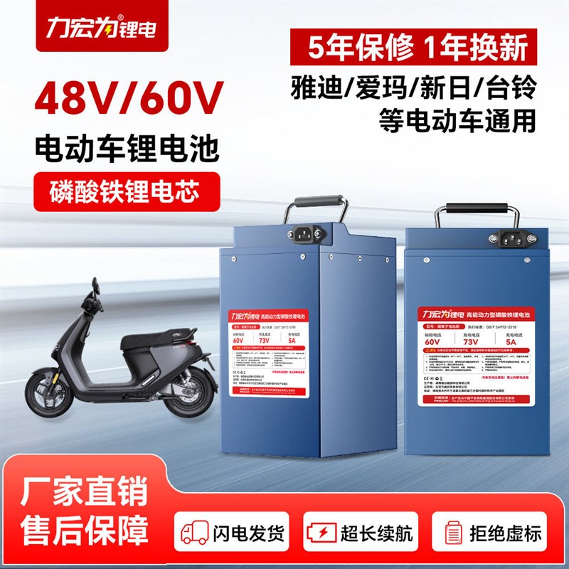 国标48V60gV电动车锂电池磷酸铁锂外卖快递两轮三轮车电瓶车通用