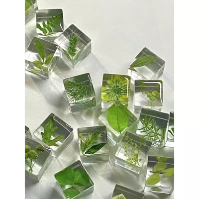 手工滴胶植物方块成品立体标本永生花送朋友礼物正方体