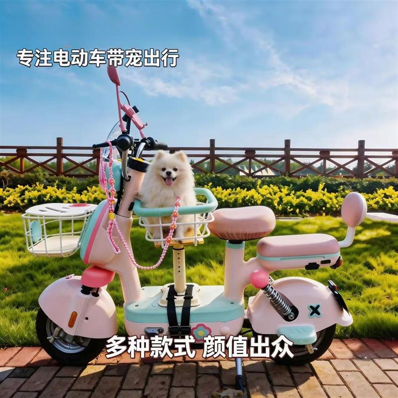 电动车带狗踏板车宠物座椅高景观带狗狗坐椅前置车载猫咪厂家