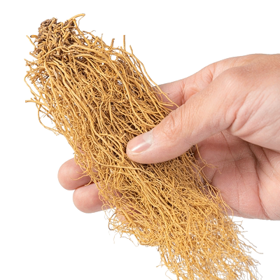 【老根辽细辛中药材】药厂直销