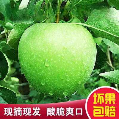 当季青苹果新鲜现摘有机脆绿高酸水果榨汁应季孕妇