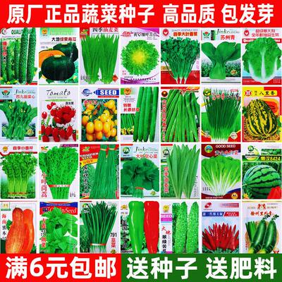 Vegetable Seeds, Vegetable Seeds, Cabbage, Radish, Summer a