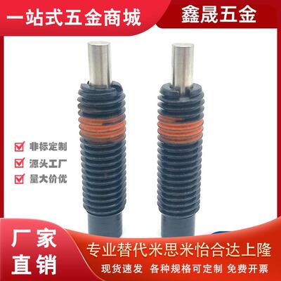 弹簧柱塞PJLF5/6/8/10/12-3/5/10分度弹性销 ZAW01粗牙平头轻载型