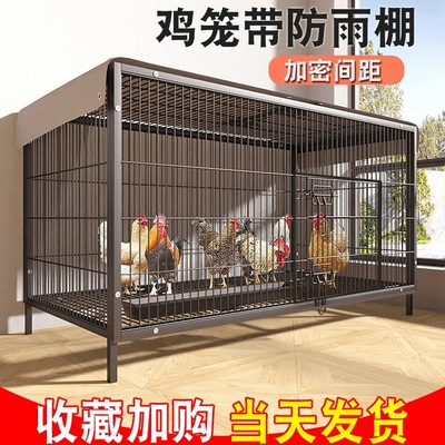鸡笼子家用室外大号防雨农村专用养鸡笼防黄鼠狼加密铁丝网养殖笼
