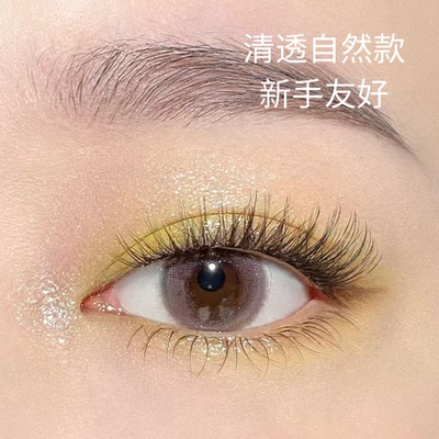 Dark Swan睫毛02款 嫁接睫毛女自然仿真单簇假睫毛重复使用
