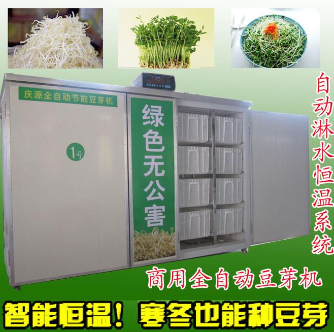 大型商用全自动豆芽机日产40-1000斤豆芽机新品品牌豆芽机黄绿豆