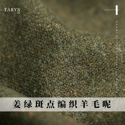 TR塔琳编织羊毛呢绒布料服装面料