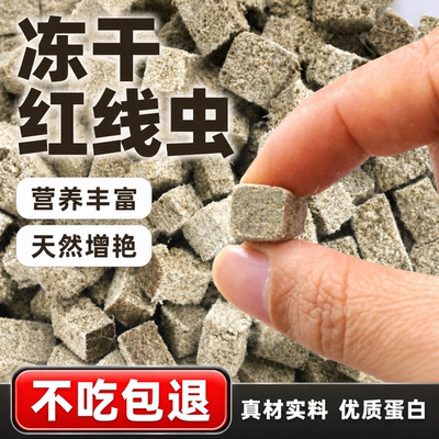 冻干红线虫贴块鱼食小型热带鱼饲料高蛋白孔雀鱼鹦鹉鱼泰国斗鱼粮