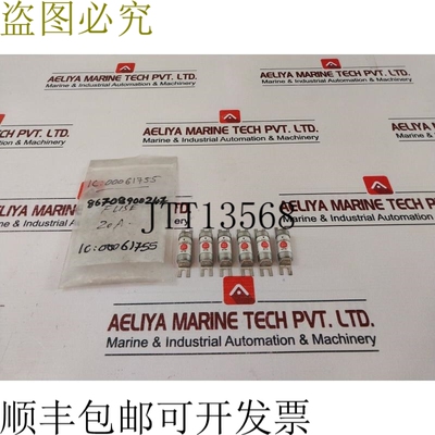 原装供应批量6个Gec Alsthom NIT20红点保险丝20AMP 550V AC