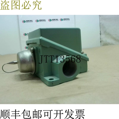 原装供应Raychem Digitrace AMC-1A 环境感应恒温器 22A @ 125