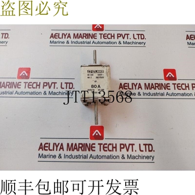 原装供应Izlake 0636/21 保险丝 80a 400-500v
