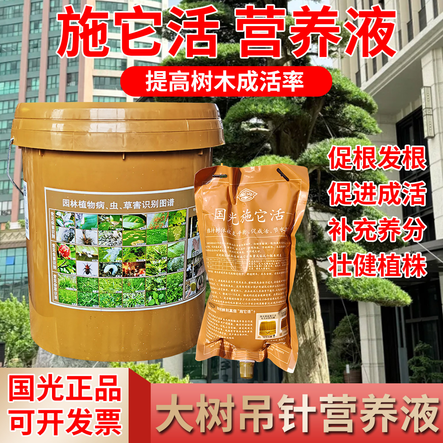 国光施它活大树吊针液植物注射液苗木移栽激活提高成活通用营养液