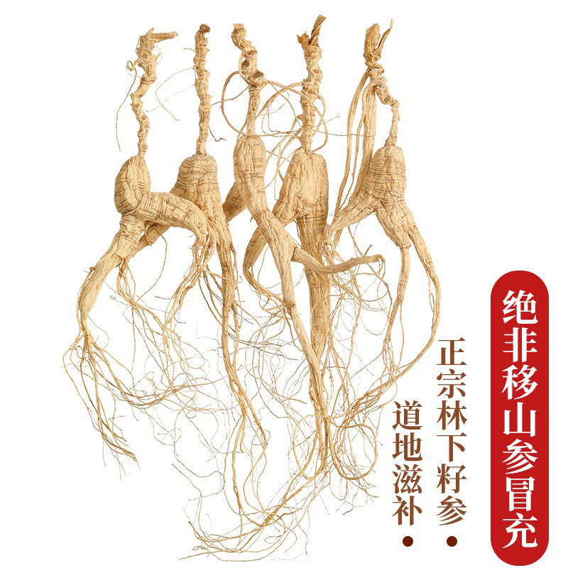 长白山野山参林下参老山参林下人参20年生晒参整枝礼盒