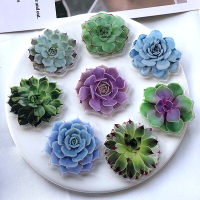 Transparent Socket Folding Grip Tok Simulation Succulent