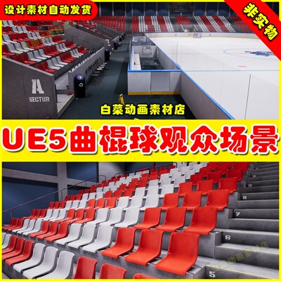 UE5 Hockey stadium 冰球曲棍球运动场体育室内场景4.27 5.1