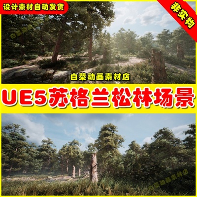 UE5 UE4 Scots Pine Tree Pack 苏格兰松林树林环境场景4.27 5.1