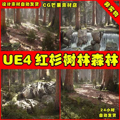 UE4写实红杉树木森林UE5树林植物场景 Redwood Forest Biome
