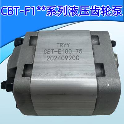TRYY齿轮泵CBT-E100.19/E100.26/E100.38/E100.45/E100.60E100.75