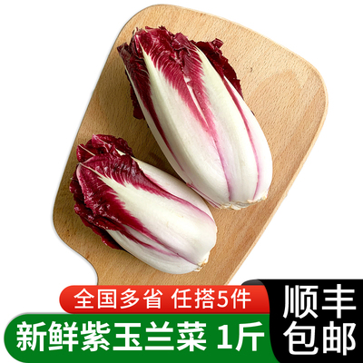 绿食者 紫玉兰菜500g新鲜蔬菜芽球菊苣chicory比利时沙拉西餐食材