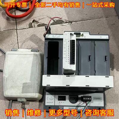 W30382X0012 费希尔100系列6点I/O模块 带RS232接口议价维修
