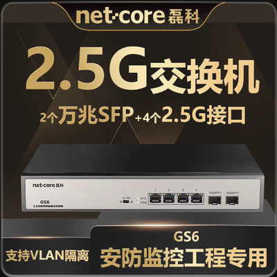 磊科4口万兆10GSFP光口