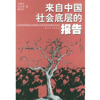 【正版书】 来自中国社会底层的报告 叶照青,朱大印,耿昌军 著 长江文艺出版社