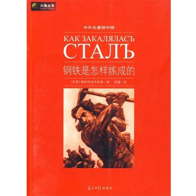 【正版书】 钢铁是怎样炼成的 (苏)奥斯特洛夫斯基 著,周露 译 光明日报出版社