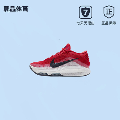耐克GTHustle中帮减震篮球鞋