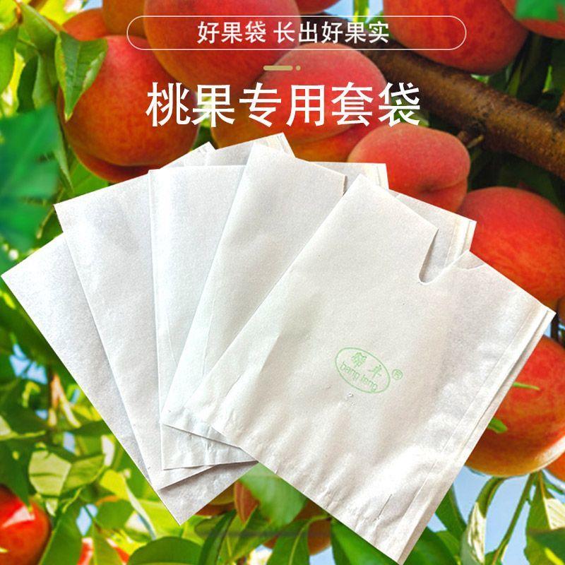 套果专用袋桃子专用育果袋防水虫果袋果园水果纸套袋水蜜桃保护单