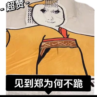 夏季空调毯龙图见到朕为