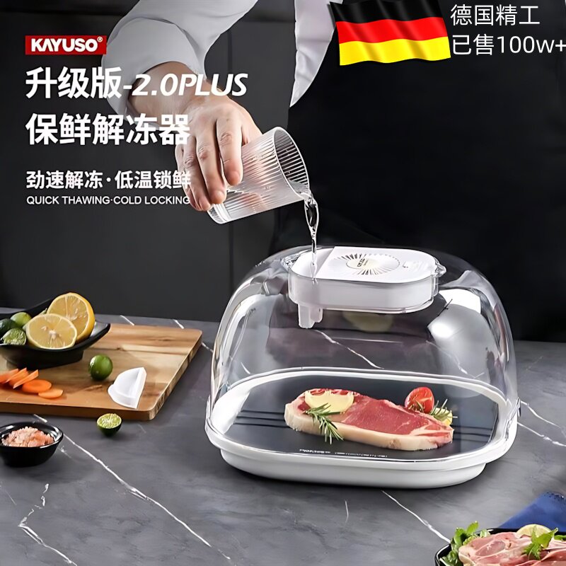 德国高品质解冻神器多功能全自动智能快速化冻肉类食物家用保鲜机