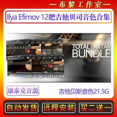 Ilya Efimov Guitar And Bass康泰克音色12把吉他贝司Kontakt音源