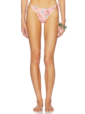 PatBO SEAWEED 臀侧系带内裤 revolve小众新款