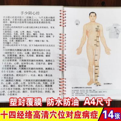人体十四经络图解 高清14经络穴位对应身体病症 A4卡片全套覆膜