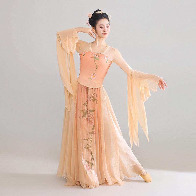 古典舞蹈服女飘逸身韵纱衣练功服大摆裙古风中国舞汉唐舞蹈演出服