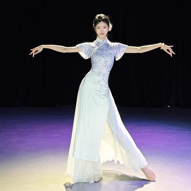 烟火易冷古典舞服装苏州慢念琵琶演出服中国舞弹力旗袍青花瓷表演