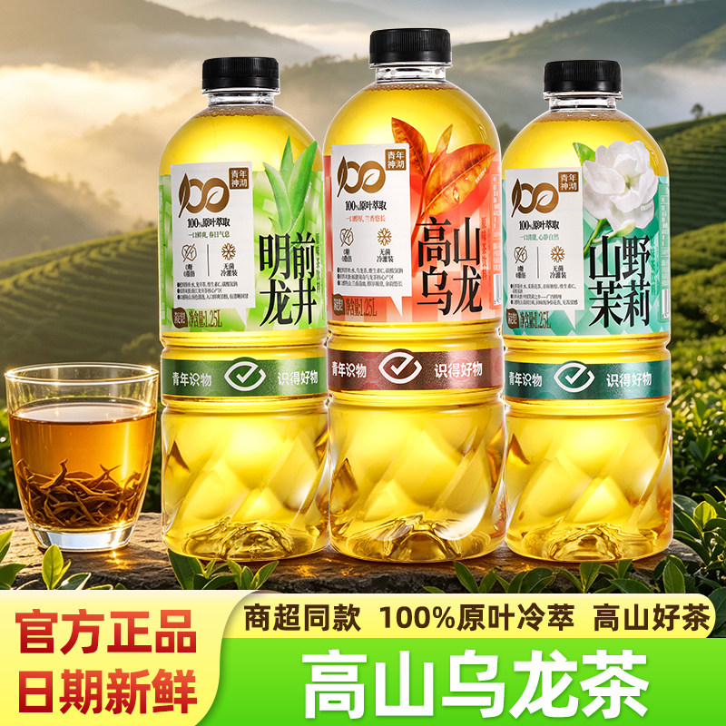 青年神沏100%原叶萃取茶饮料无菌冷灌0糖0卡0脂大瓶囤货纯茶饮品
