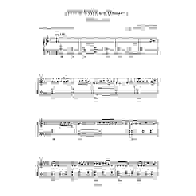 泰勒斯威夫特《狂野的梦Wildest Dreams》钢琴独奏谱