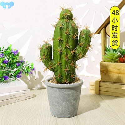 Practical Fake Cactus Artificial Simulation Potted Plant跨境